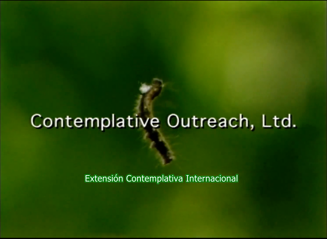 Videos – Oracion Centrante RD