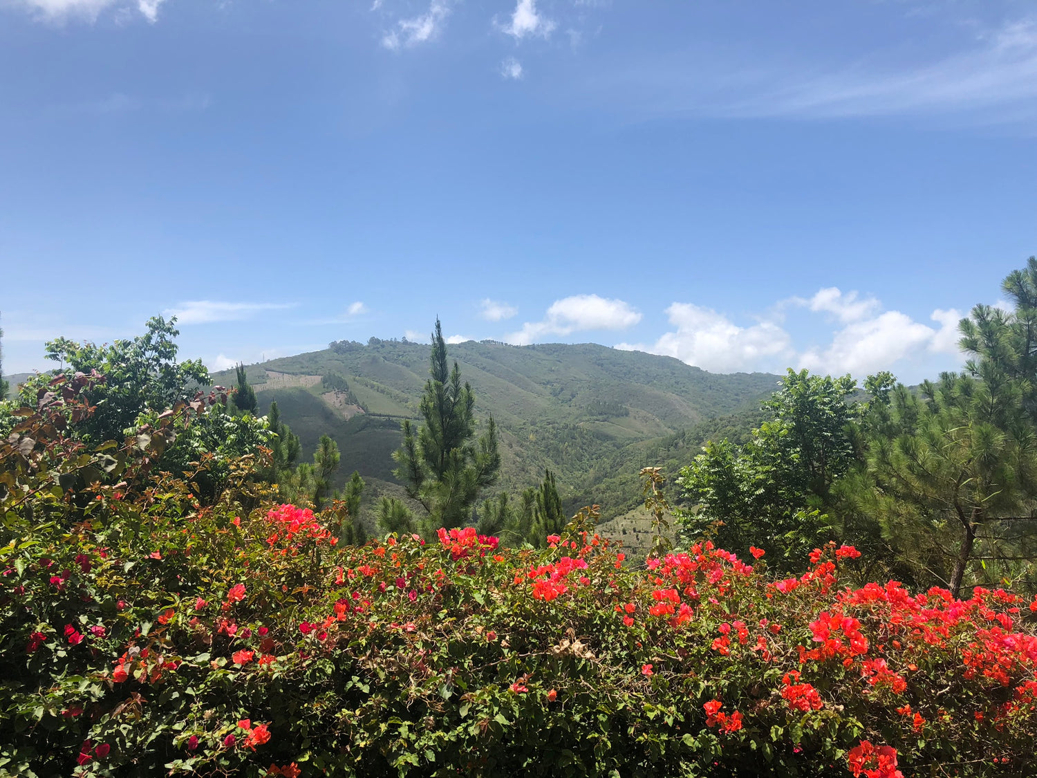 Reflexiones – Oracion Centrante RD